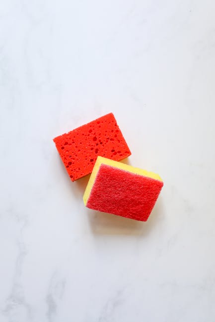 Why is Cleaning the Kitchen Premises Important: Essential Insights - My ...